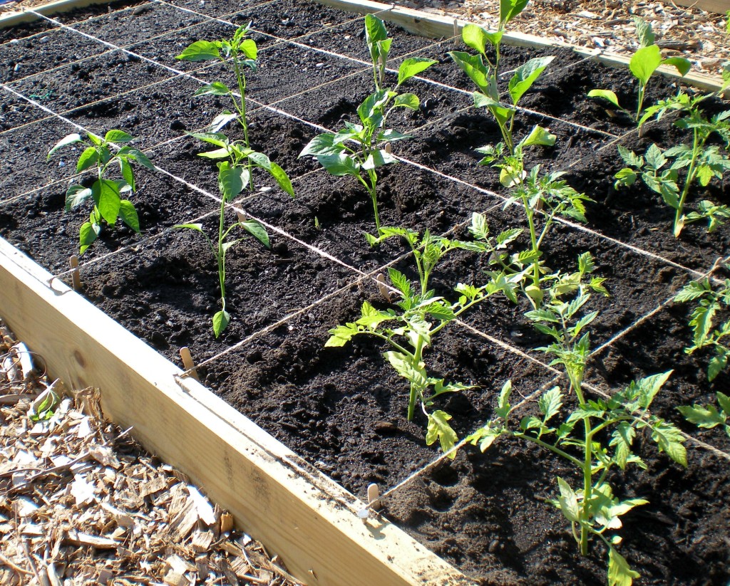 Location. Location. Location. – Growing places