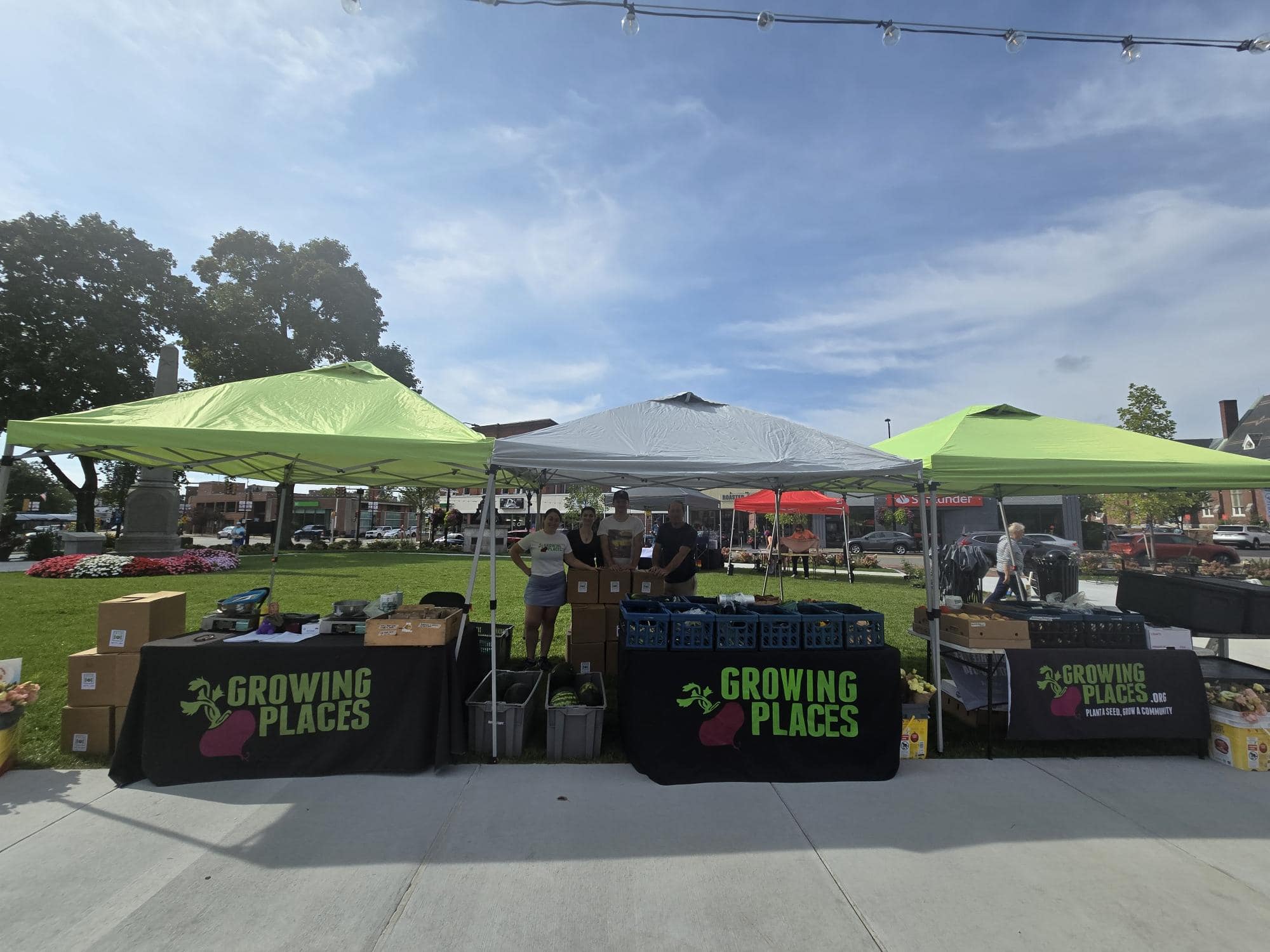Growing places – Connecting community through real food since 2001