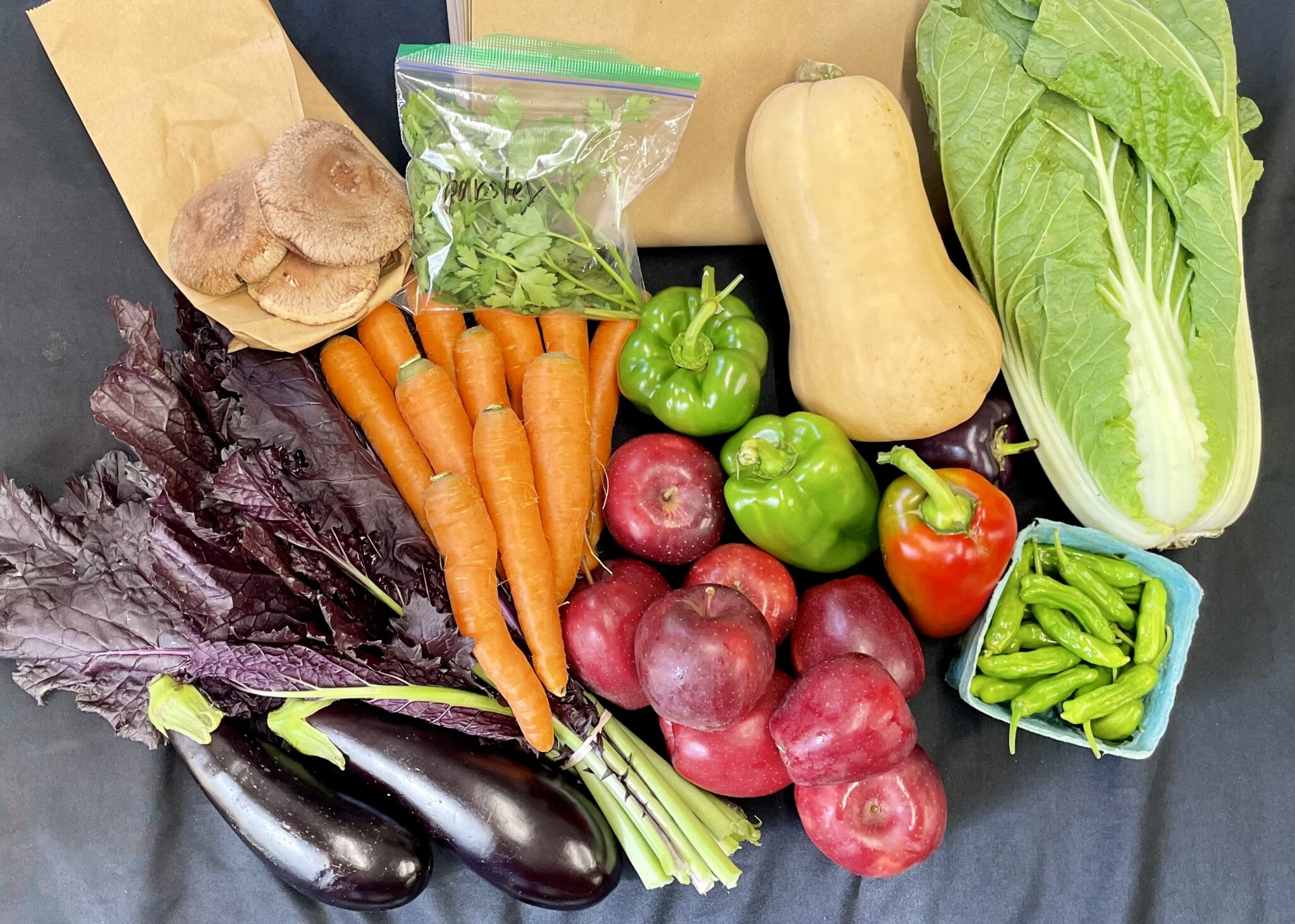 Growing places – Connecting community through real food since 2001
